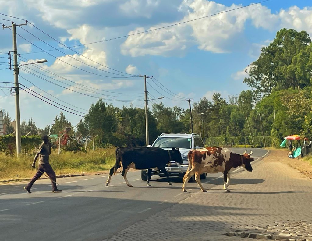 Kenya, our first impressions – Kings in Kenya